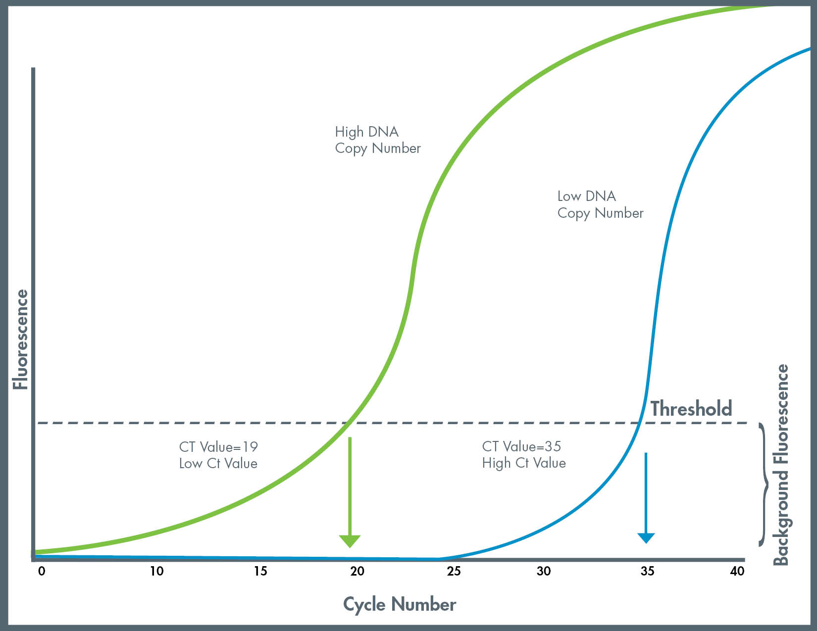 How do I interpret my qPCR results? – myLuminUltra How do I interpret my qPCR results? – myLuminUltra
