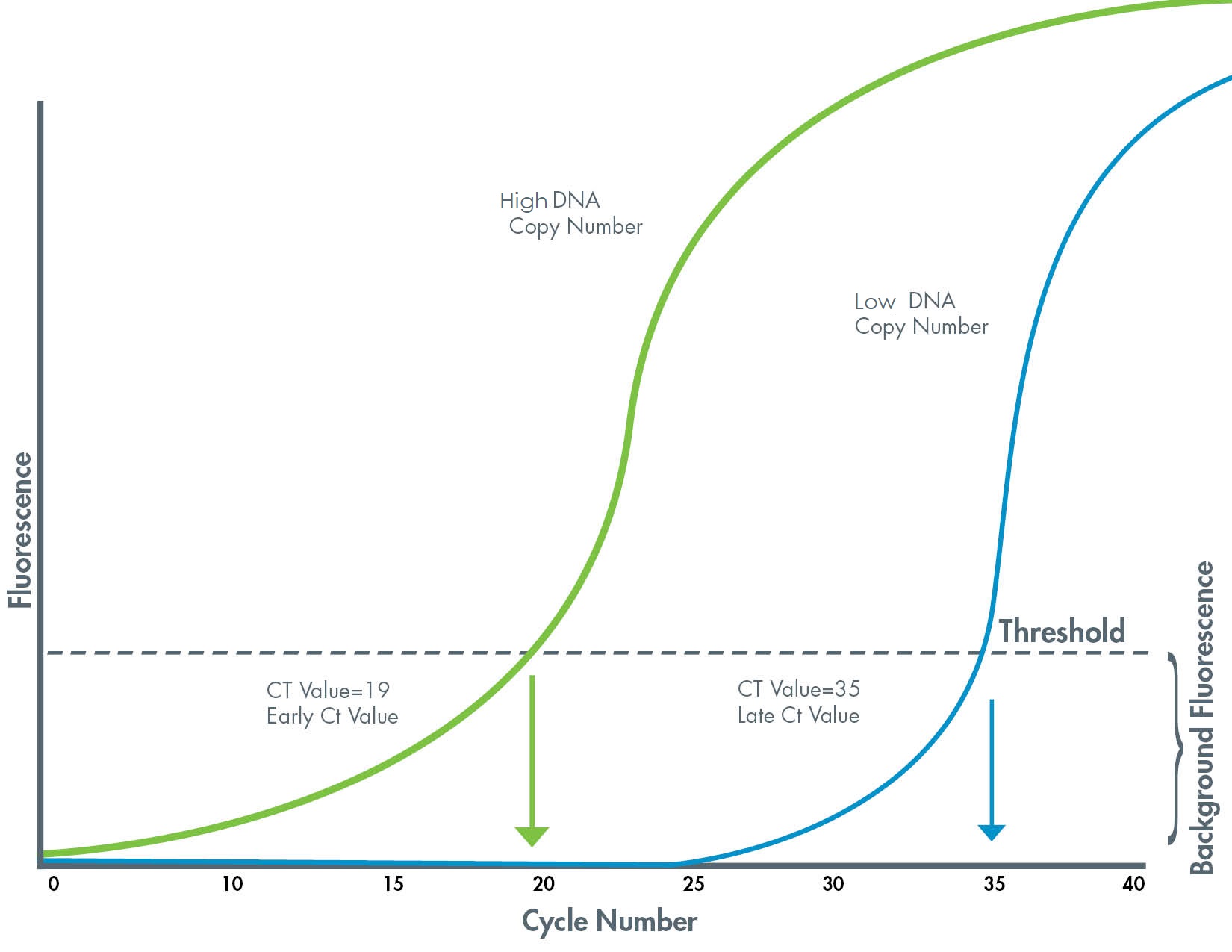 How do I interpret my qPCR results? – myLuminUltra