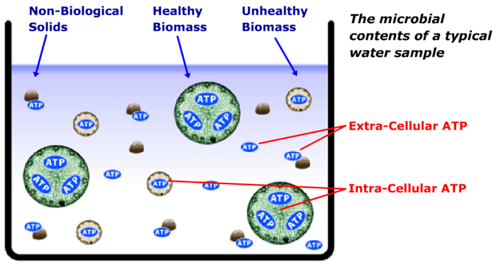 What is the Biomass Stress Index (BSI) in Wastewater Treatment ...